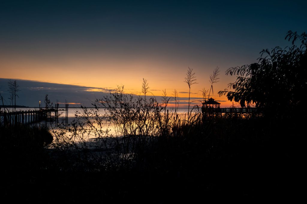 Gallery - RealOBX.com